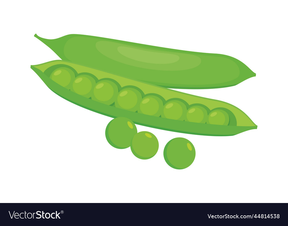 Fresh green pea pod icon set Royalty Free Vector Image