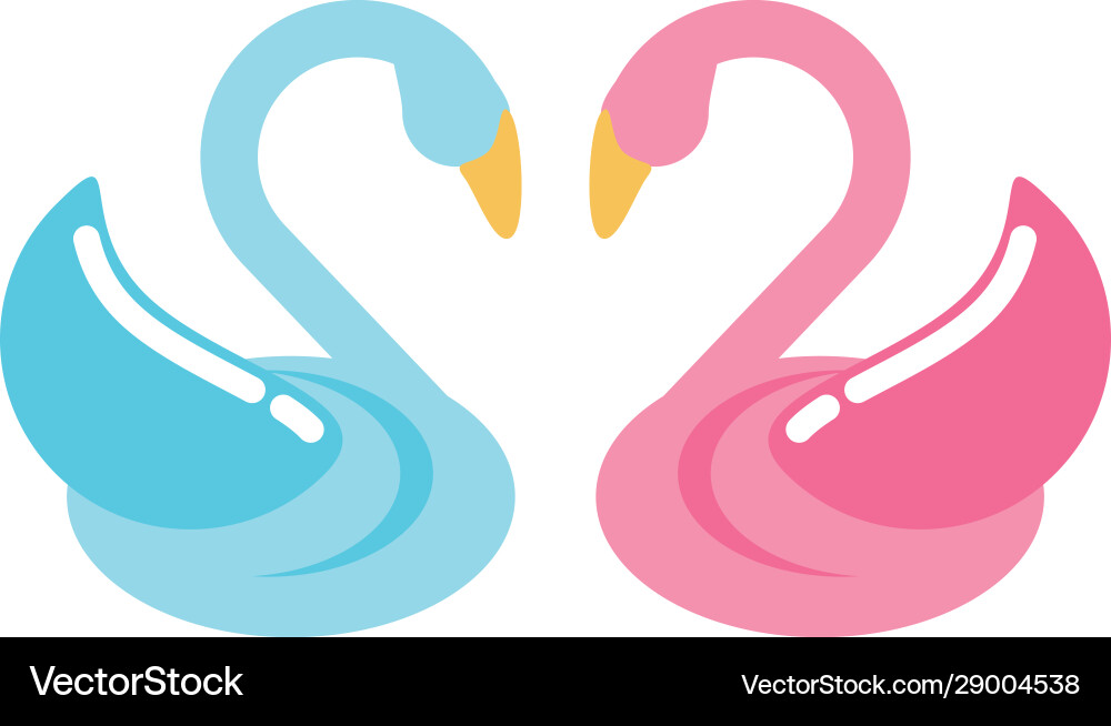 Isolated swans heart design Royalty Free Vector Image