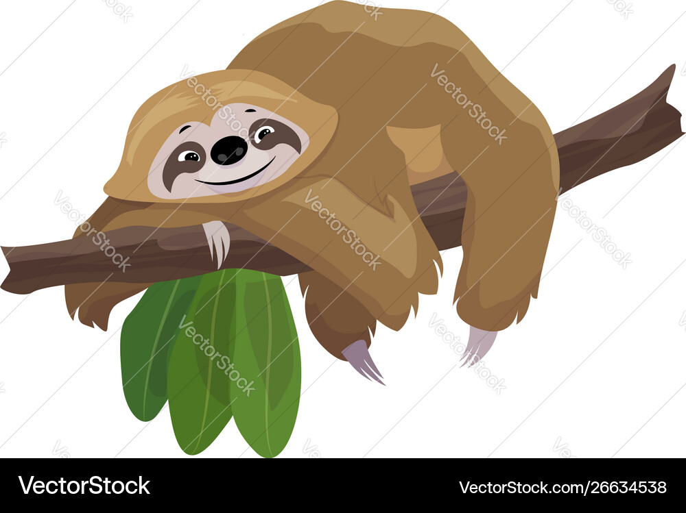 Sloth stay on tree icon cartoon style Royalty Free Vector