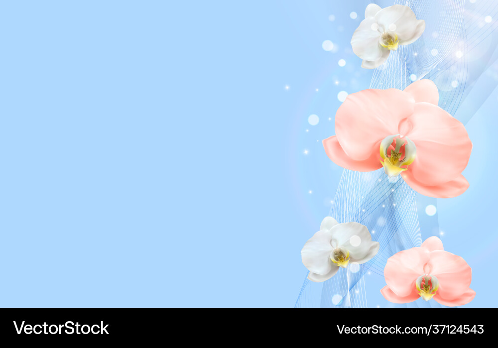 3d realistic natural orchid flower blue Royalty Free Vector