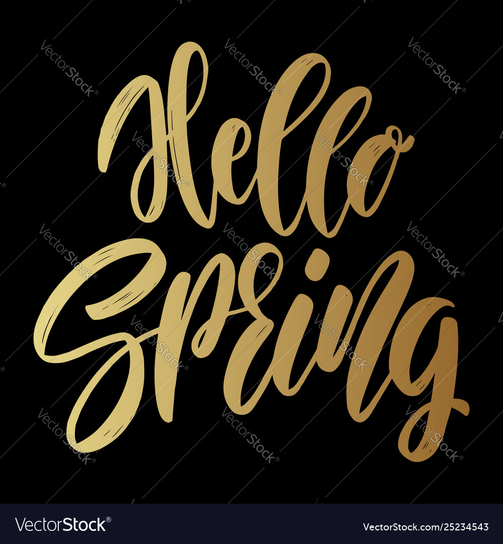 Hello spring lettering phrase for greeting card Vector Image