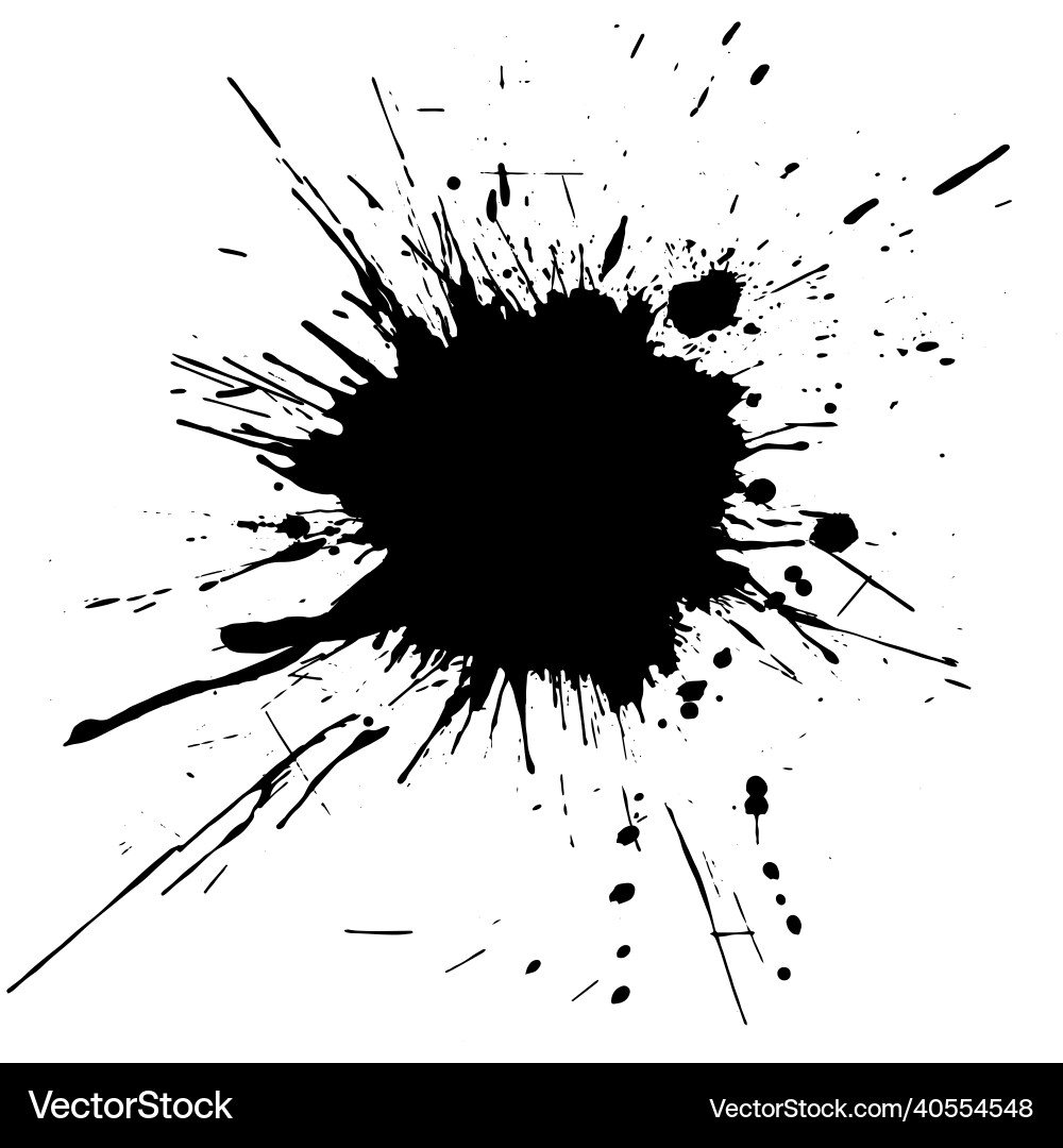 Beautiful grunge blot splat paint splash Vector Image