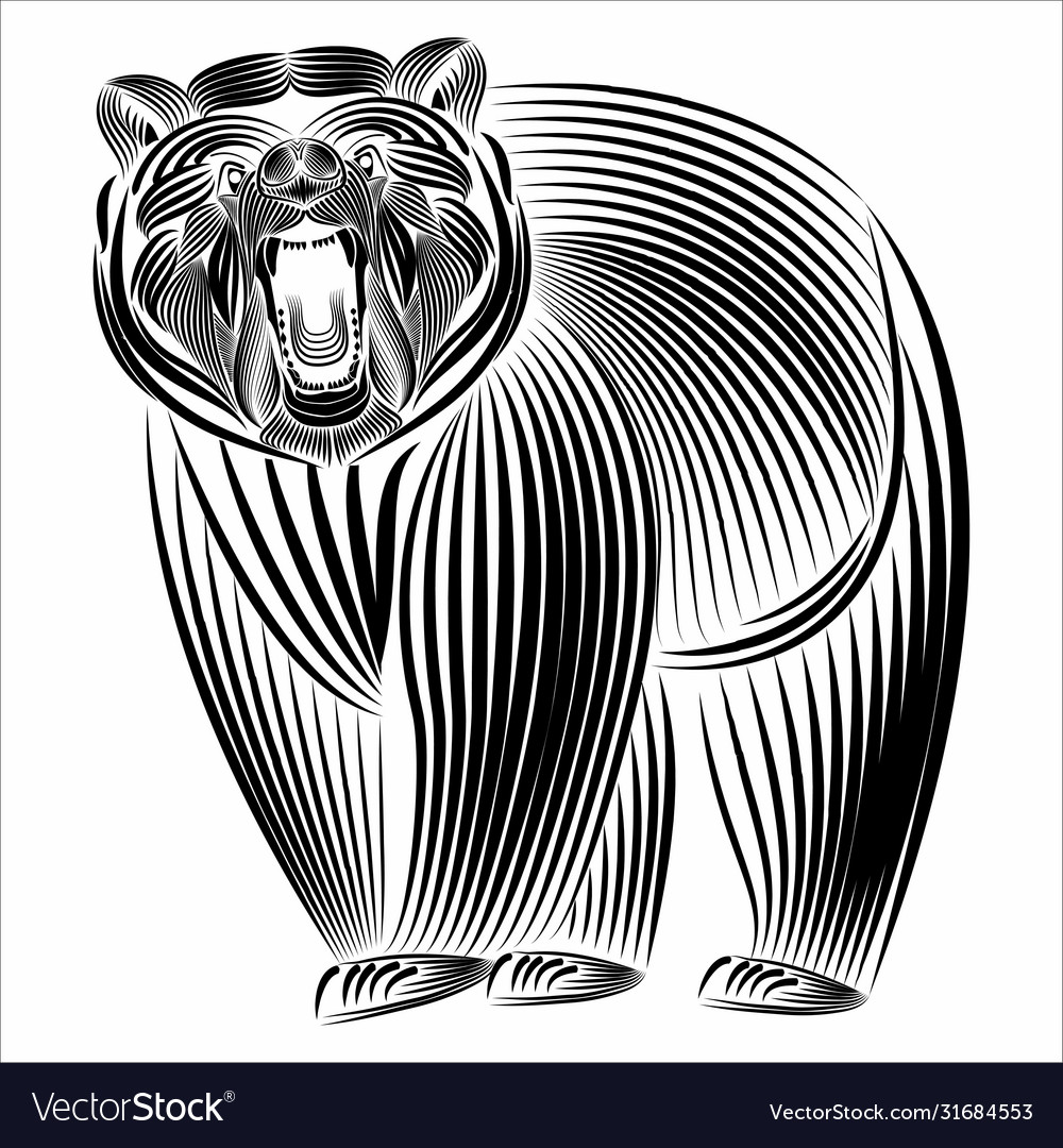 Bear Royalty Free Vector Image - VectorStock