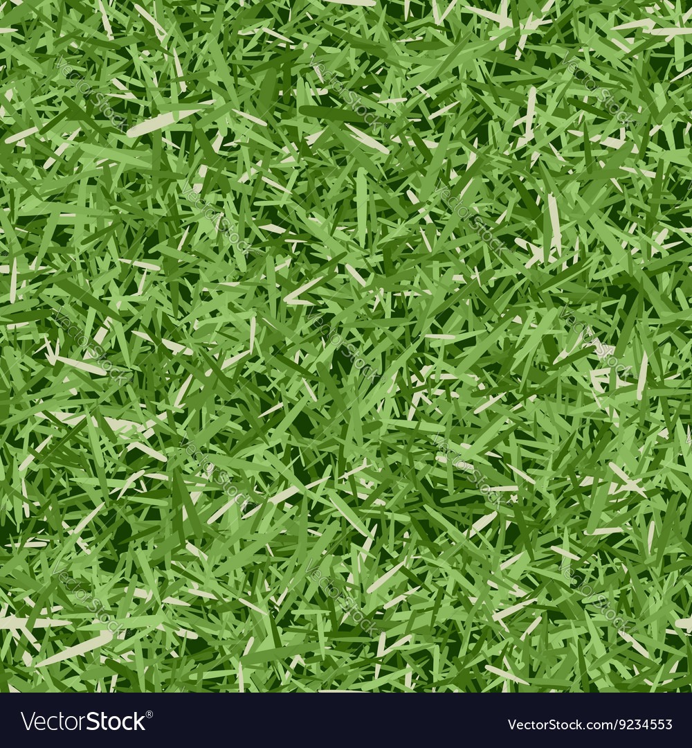 Grass texture Royalty Free Vector Image - VectorStock