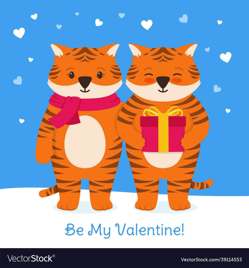 Happy valentines day card tiger gift box poster Vector Image
