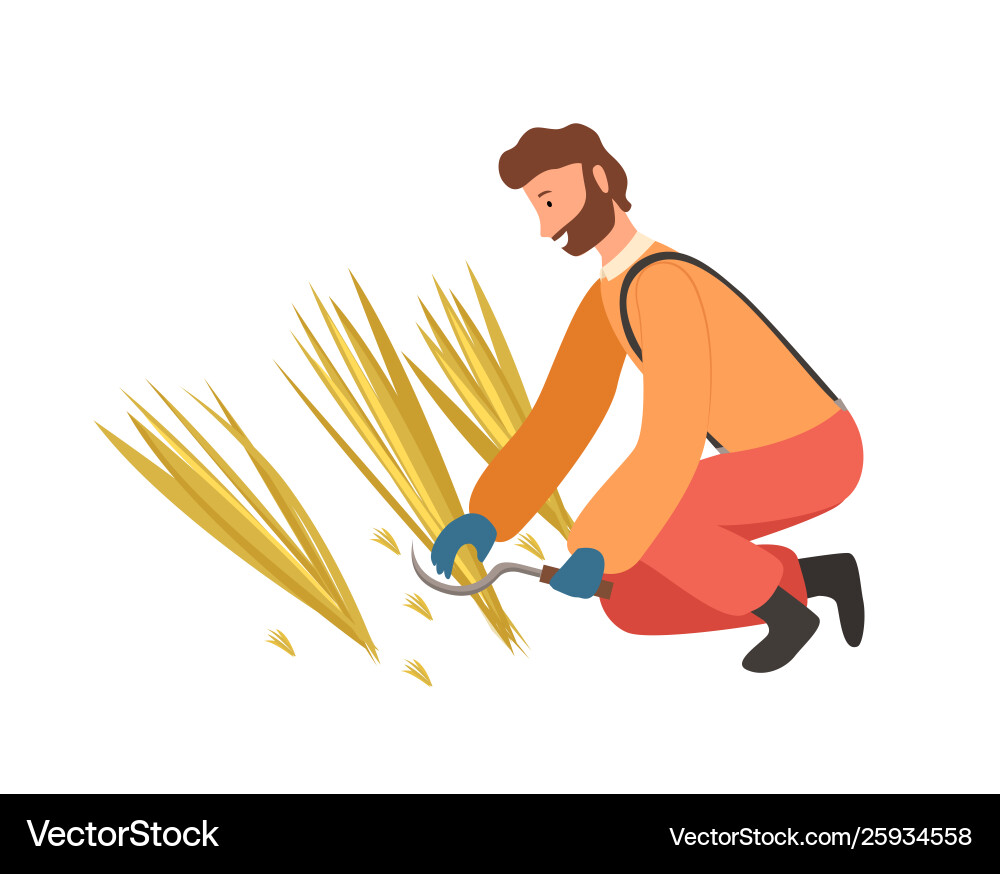 Agricultural worker cutting straw scy Royalty Free Vector