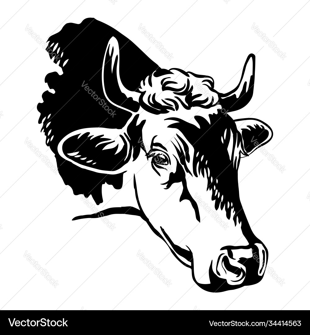 Black contour portrait cow abstract Royalty Free Vector