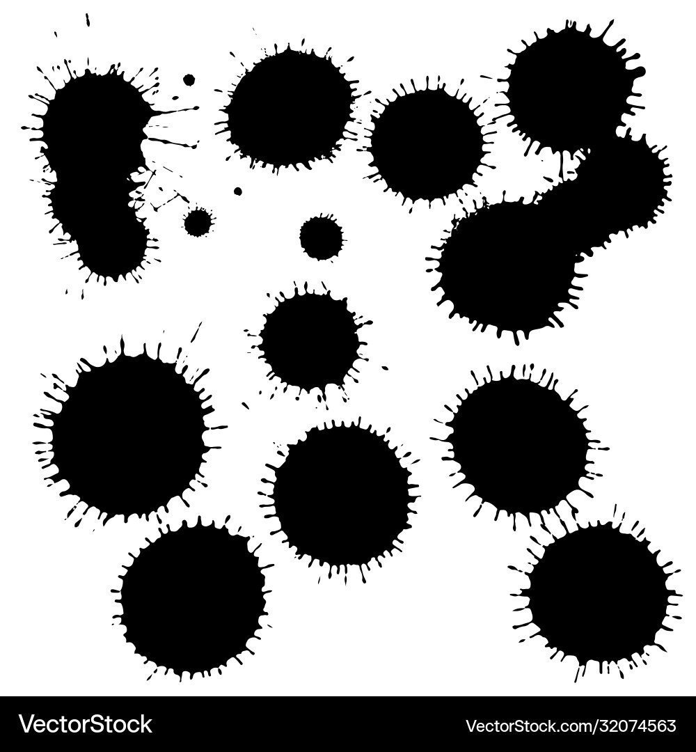 Black ink paint spots drops isolated on white Vector Image