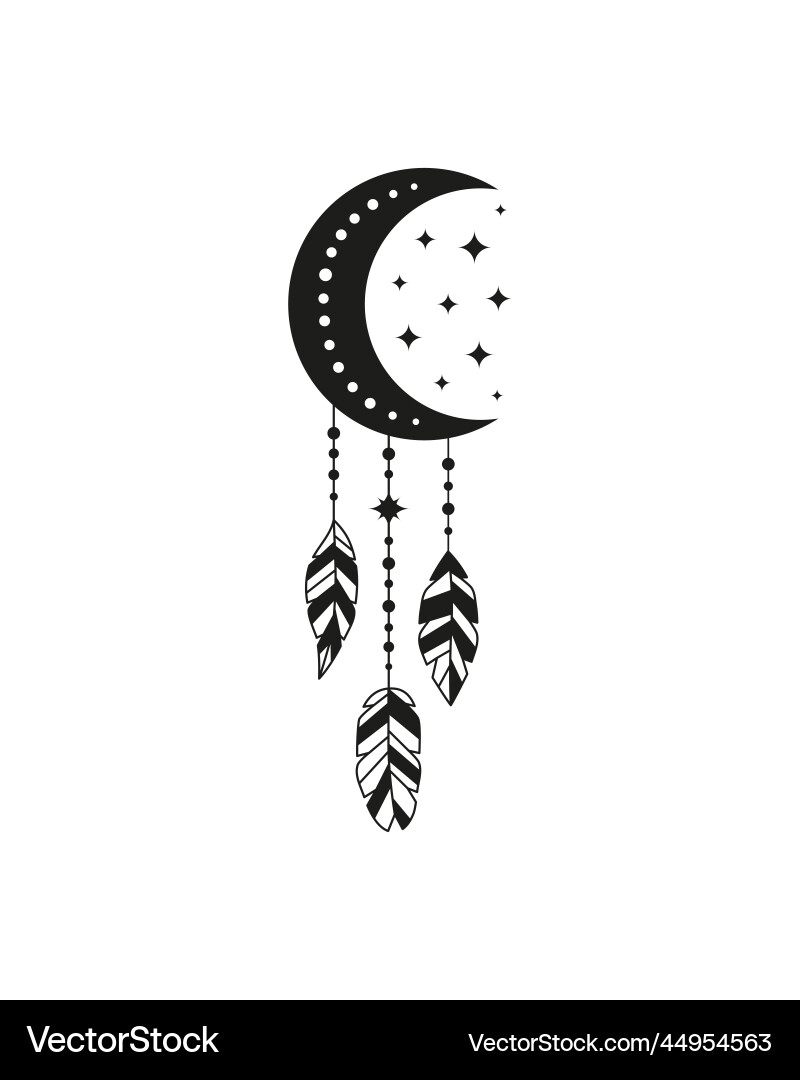 Boho moon with feathers and stars Royalty Free Vector Image
