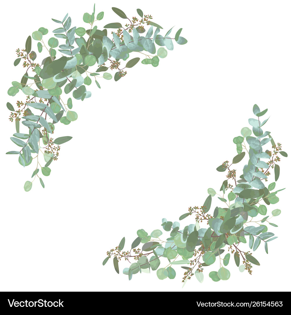 Set wedding bouquets elegant floral greenery Vector Image