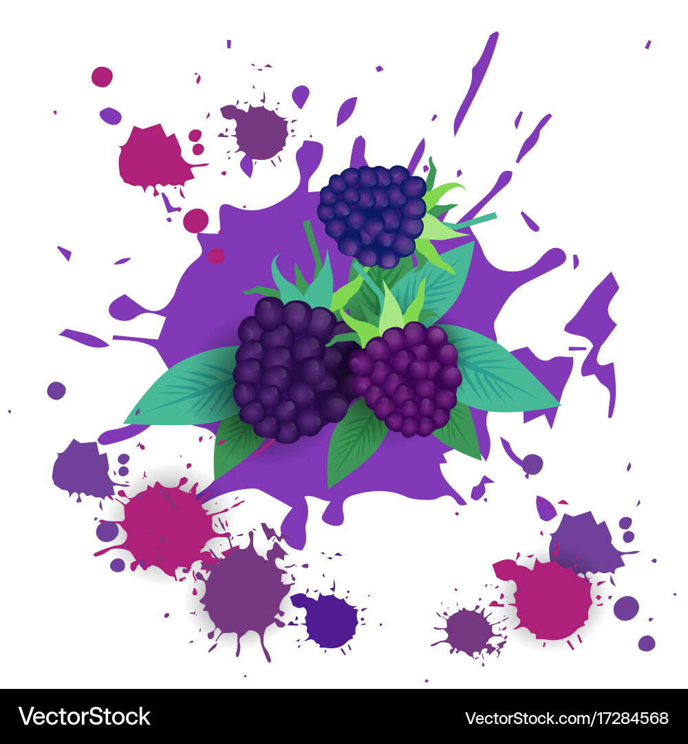 Fruit Splash Logo