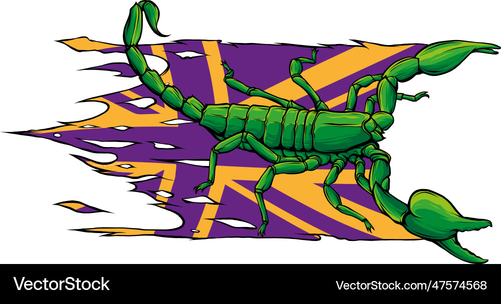 Draw colored animal scorpion Royalty Free Vector Image