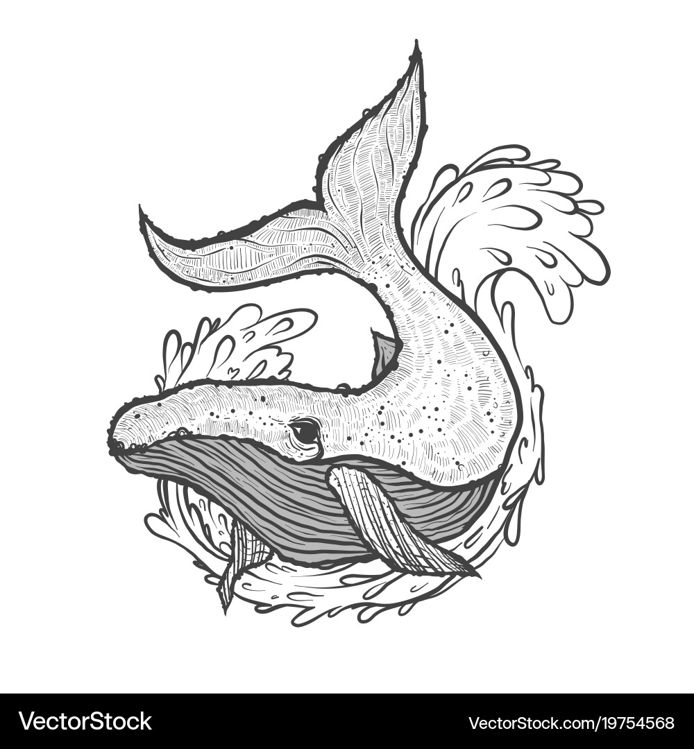 Hand drawn of whale with wave Royalty Free Vector Image
