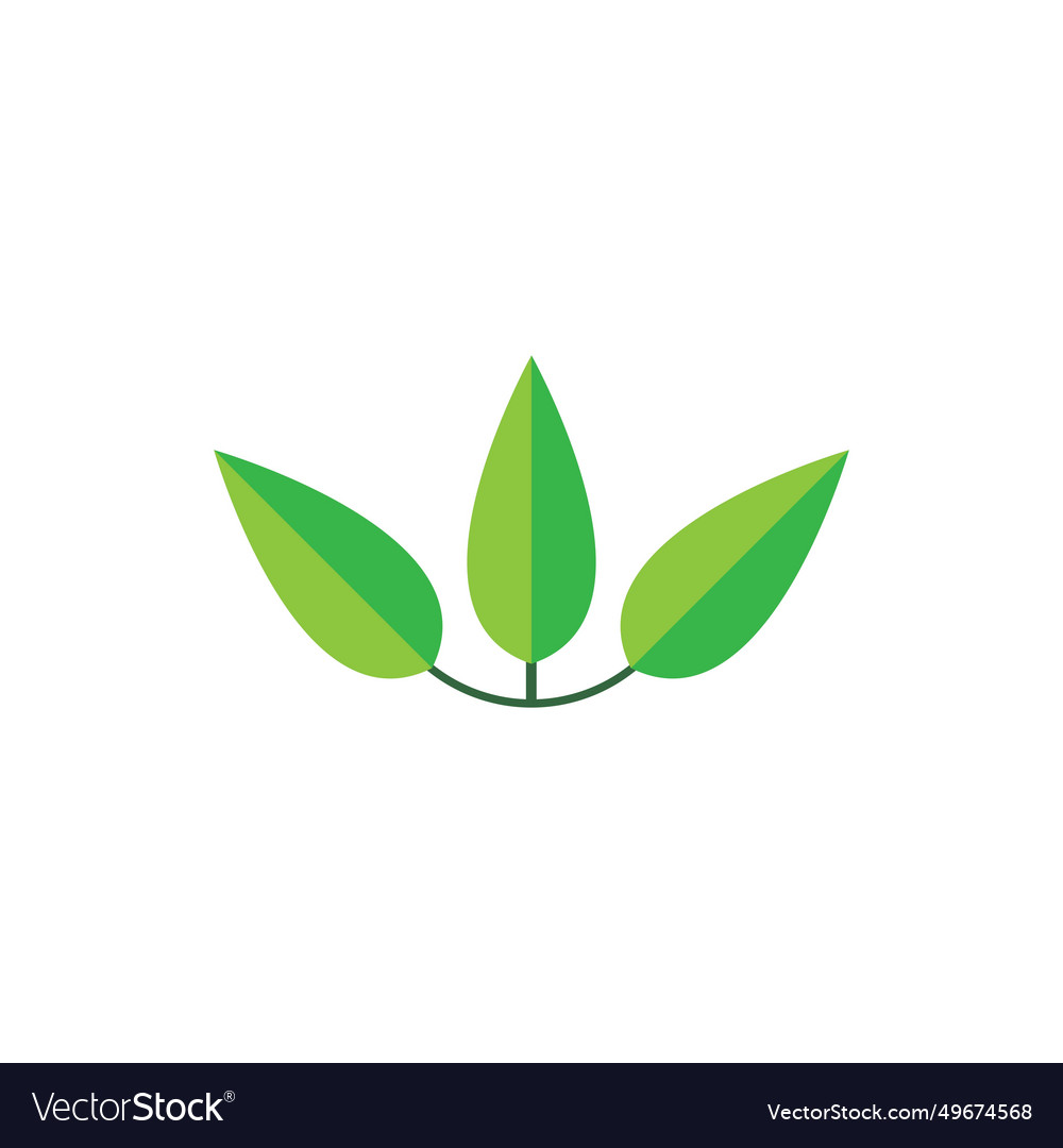 Leaf logo Royalty Free Vector Image - VectorStock