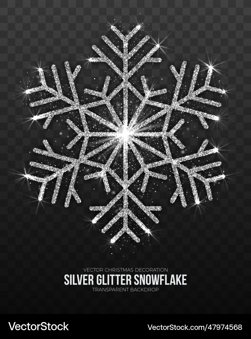 Merry christmas decoration elegant shimmer silver Vector Image