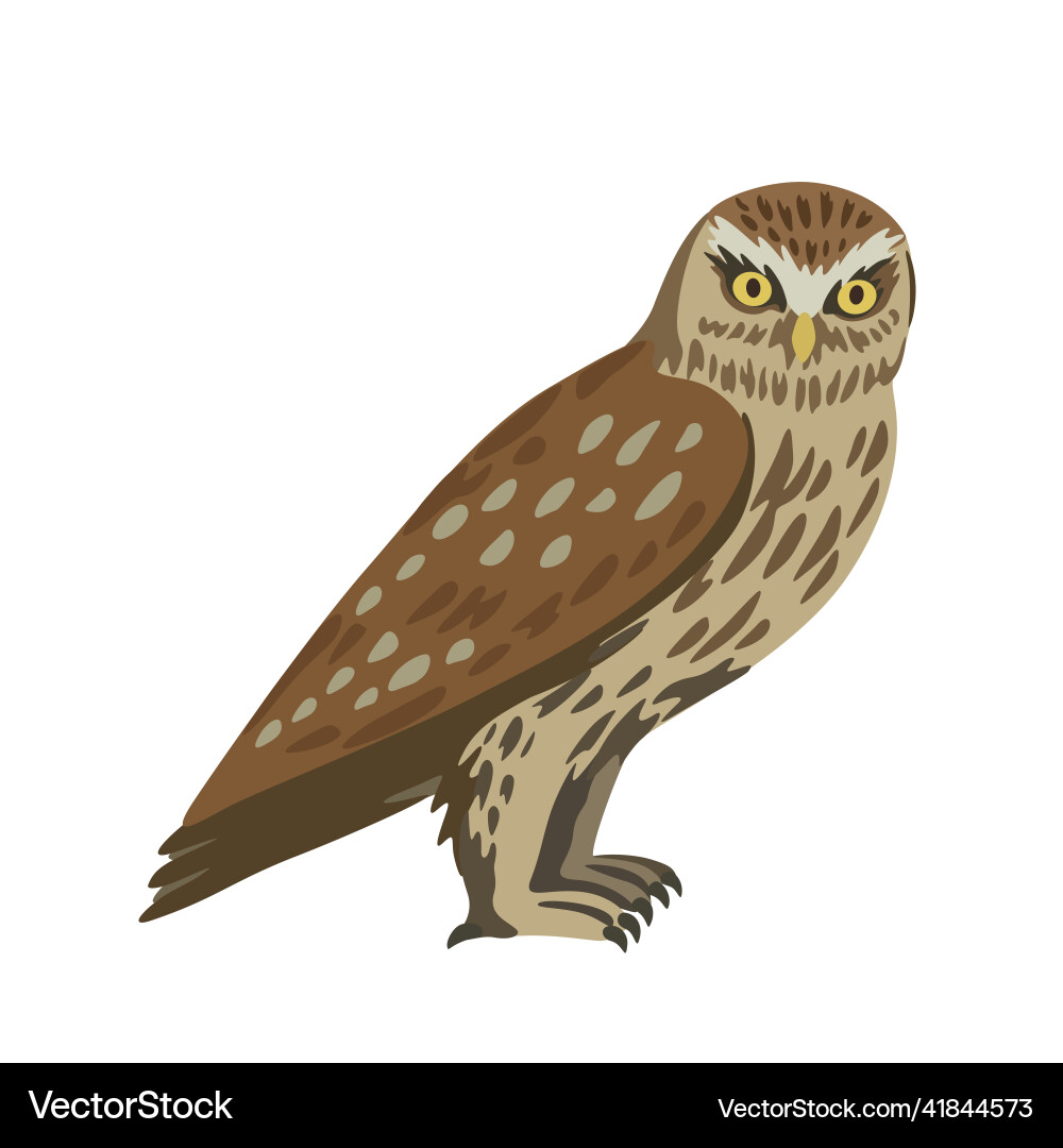 Cartoon little owl isolated on white Royalty Free Vector