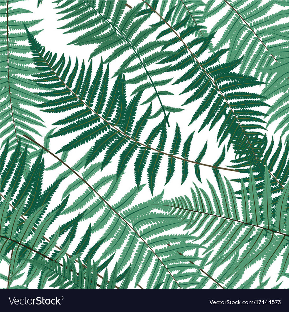 Fern leaf seamless pattern Royalty Free Vector Image