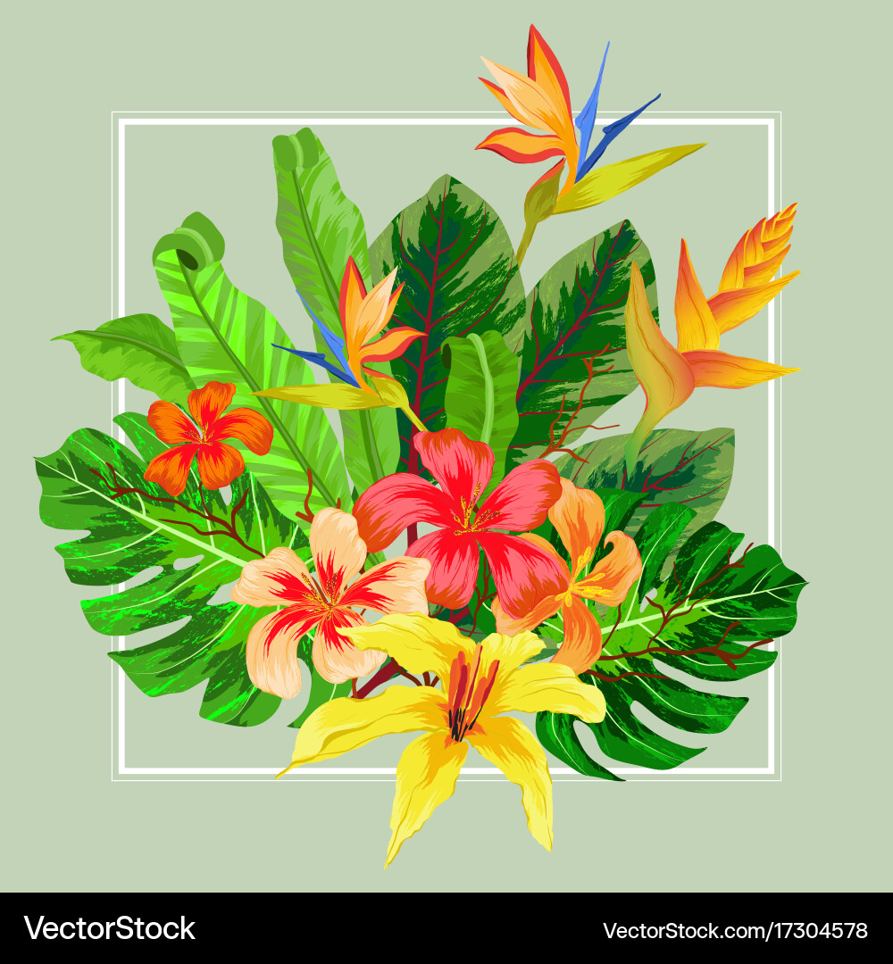 Abstract exotic tropical leaf and flowers Vector Image