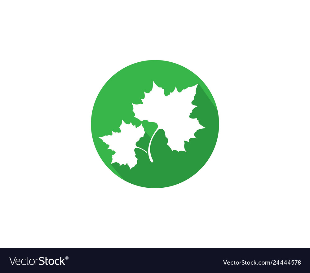 Maple leaf icon Royalty Free Vector Image - VectorStock