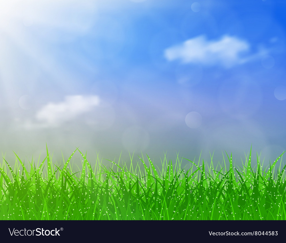 Beautiful spring background Royalty Free Vector Image