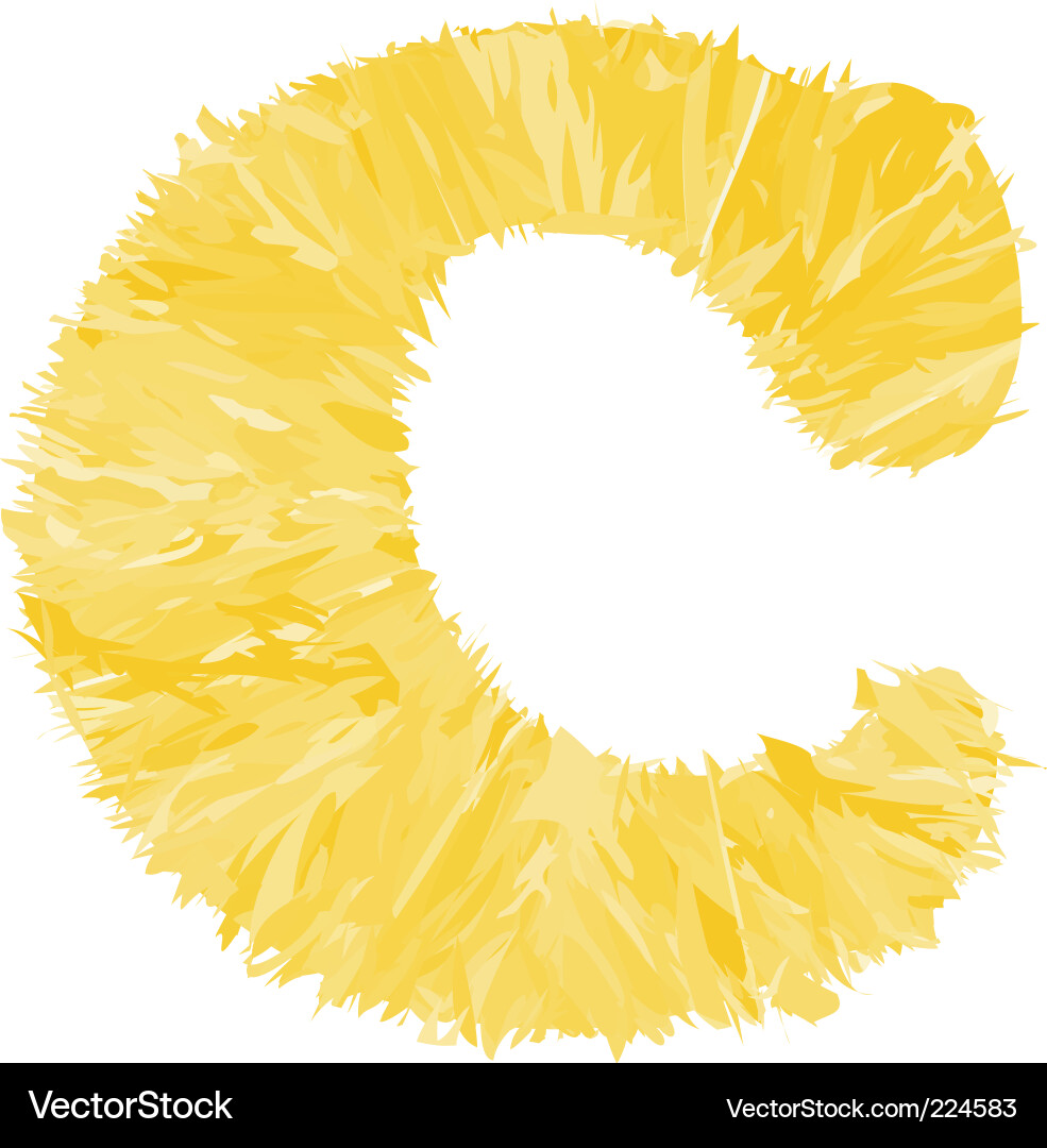 One letter of orange alphabet Royalty Free Vector Image