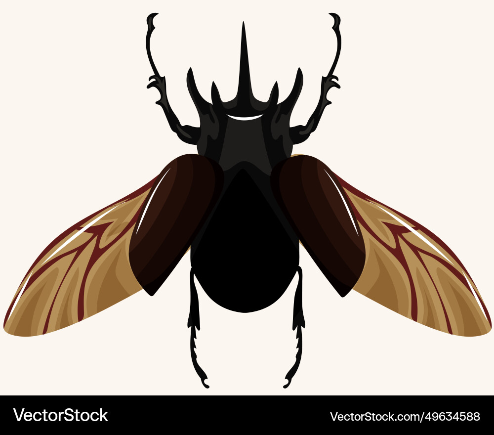 Black beetle Royalty Free Vector Image - VectorStock