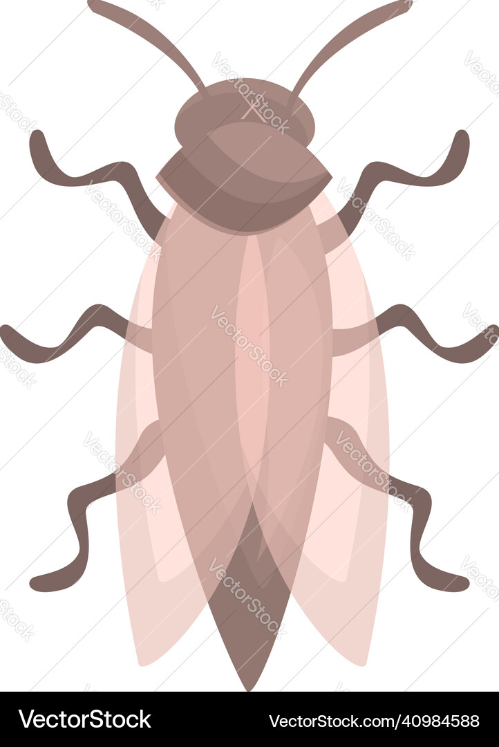 Home fly icon cartoon house bug Royalty Free Vector Image