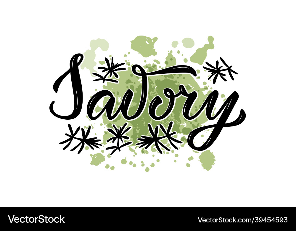 Savory black text on green watercolor background Vector Image