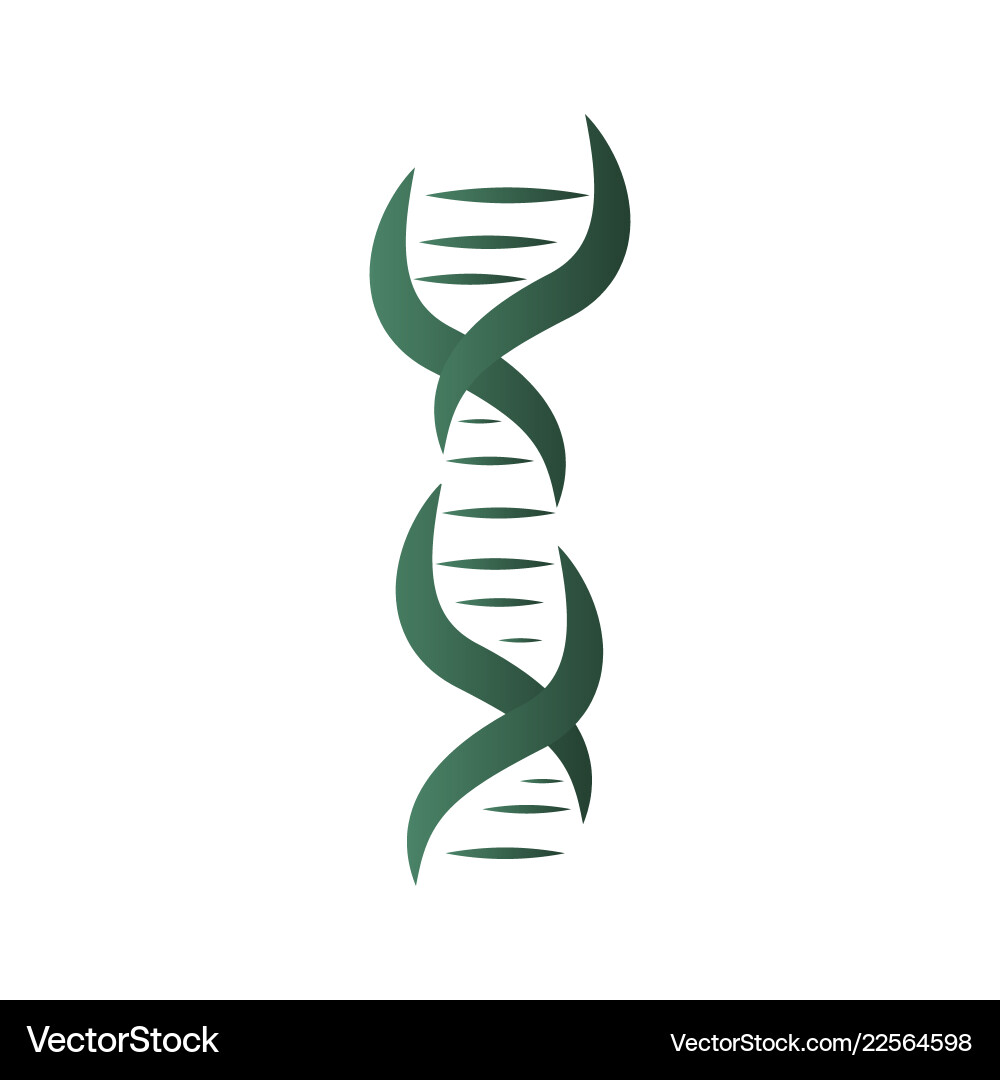 Dna genetic sign elements and icons collection Vector Image