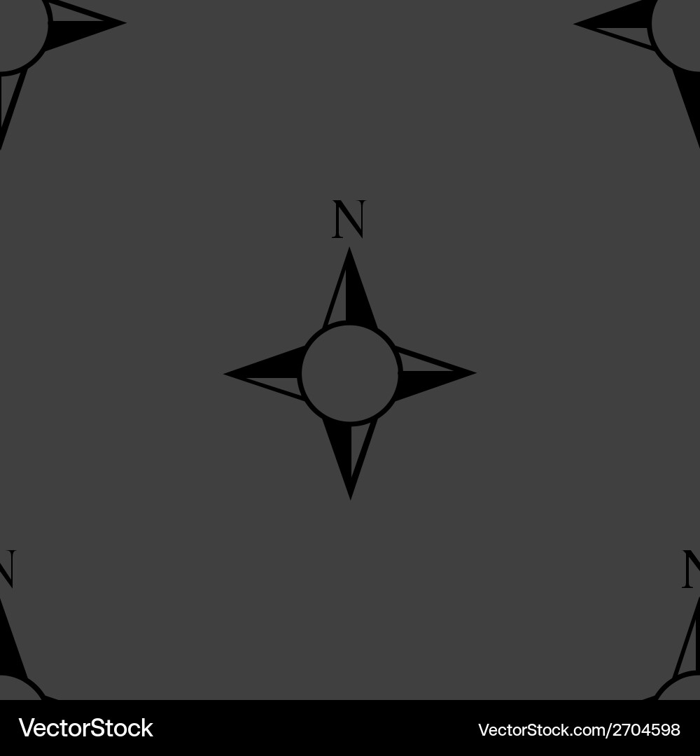 Side of the world compass web icon flat design Vector Image