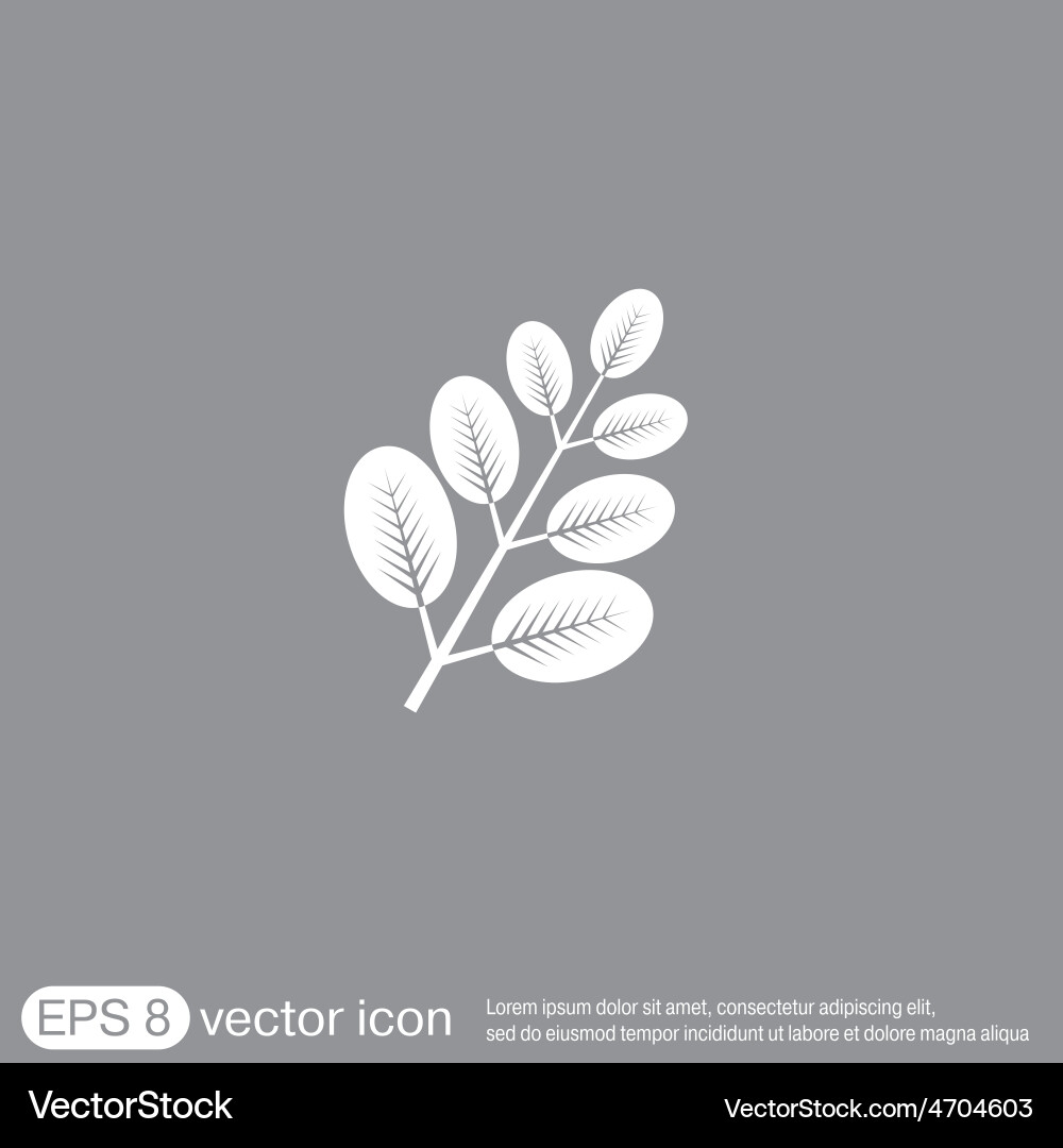 Branch with leaves symbol icon geometry teaching Vector Image