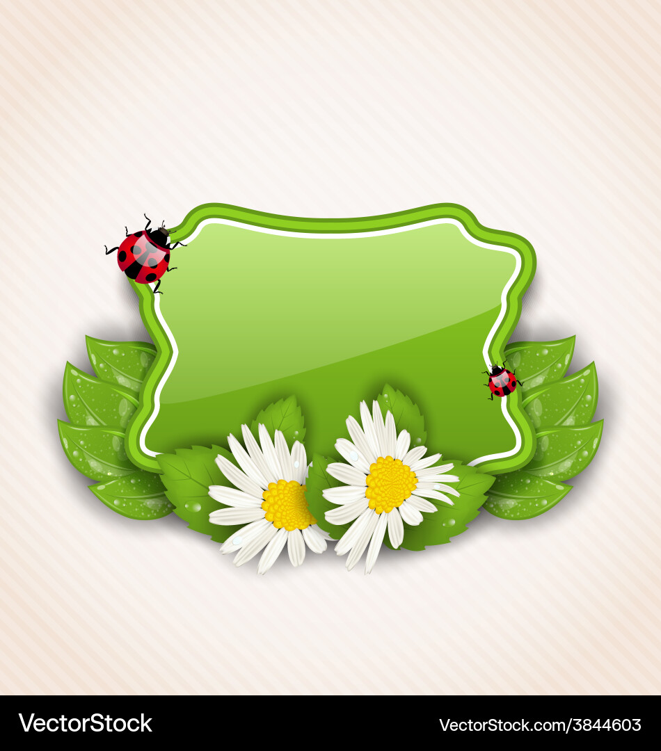 Cute spring card with flower daisies leaves Vector Image