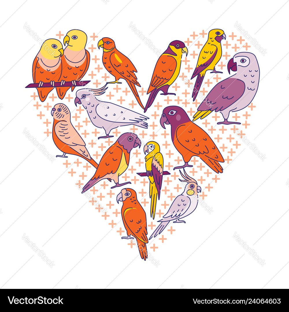 Tropical birds concept banner in colored line Vector Image
