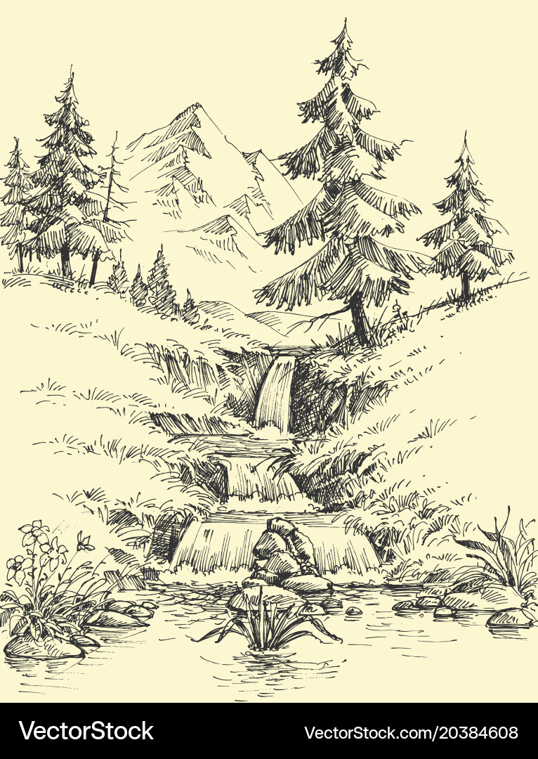 A creek in the mountains alpine waterfall Vector Image