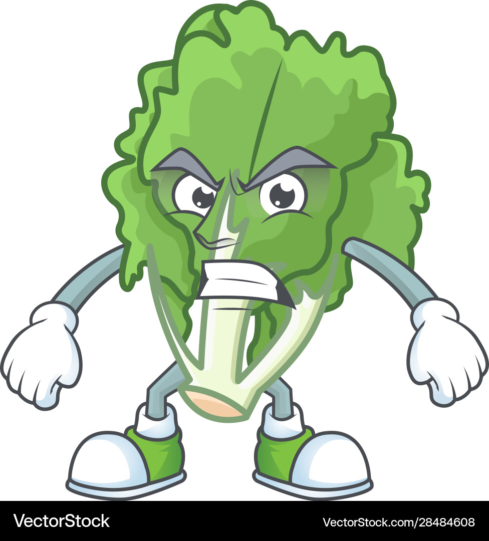 Picture endive cartoon character with angry Vector Image
