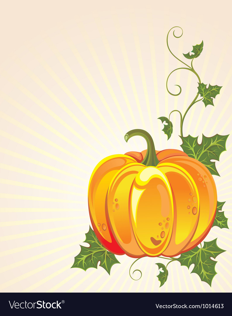 Background with pumpkin Royalty Free Vector Image