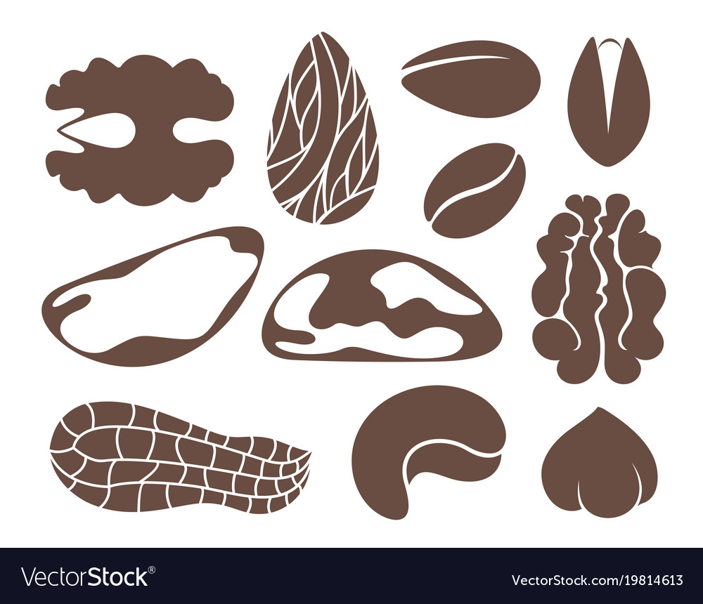 Nut set Royalty Free Vector Image - VectorStock