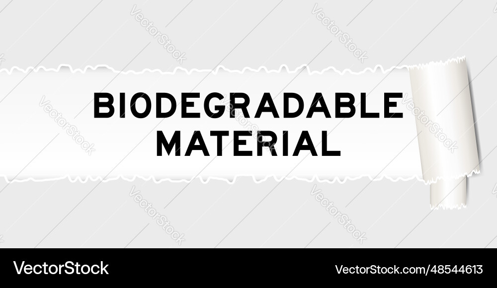 Ripped gray paper background that have word Vector Image