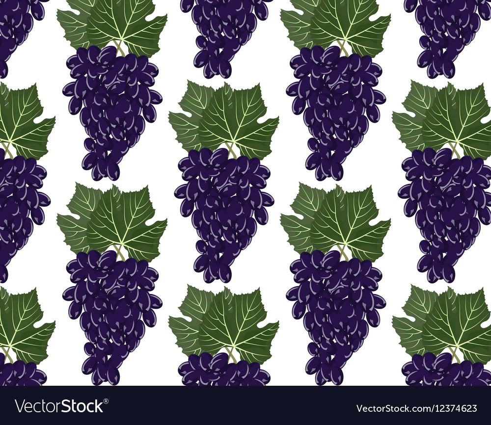 Red grapes clusters pattern Royalty Free Vector Image