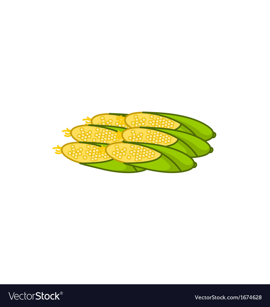 Corn Royalty Free Vector Image - VectorStock