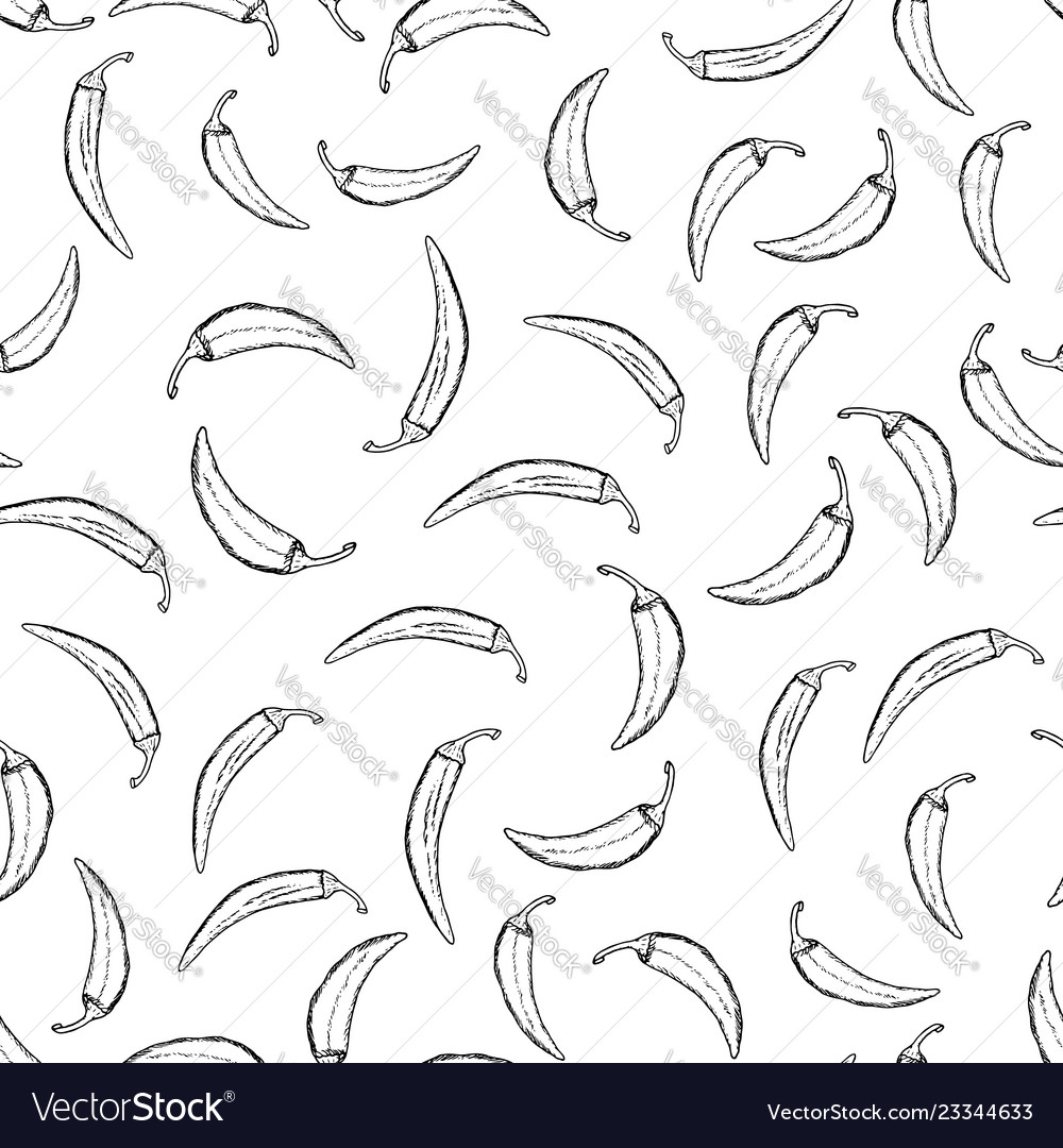 Seamless pattern with hand drawn chilli Royalty Free Vector