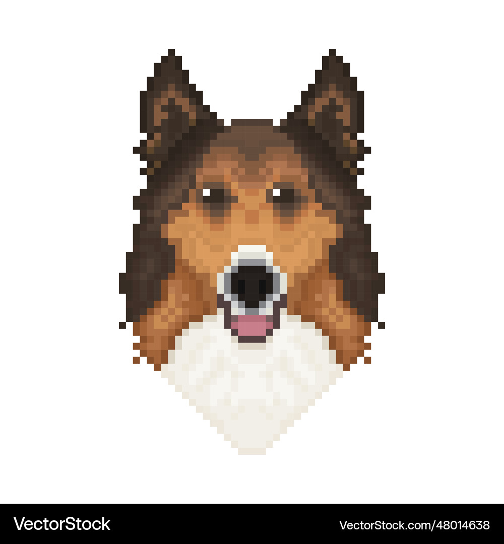 Collie dog head in pixel art style Royalty Free Vector Image