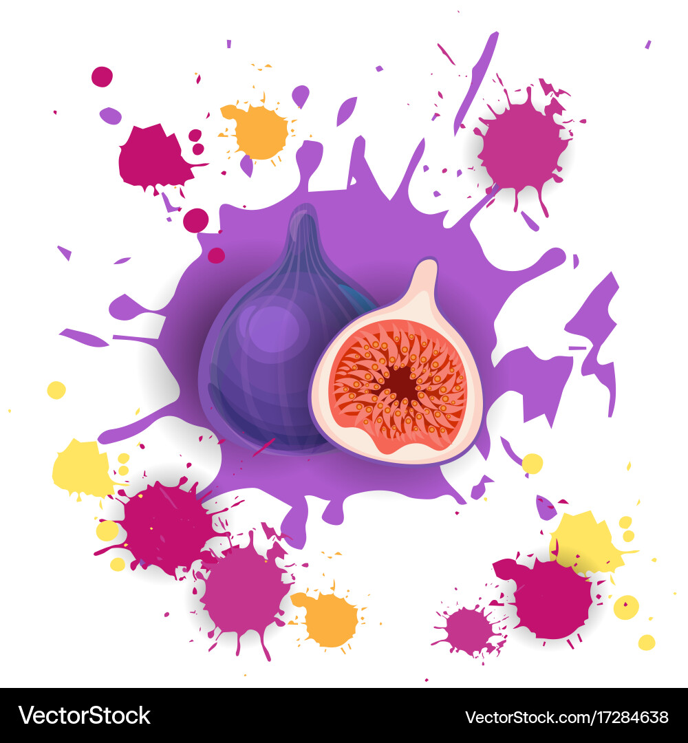 Fig fruit logo watercolor splash design fresh Vector Image