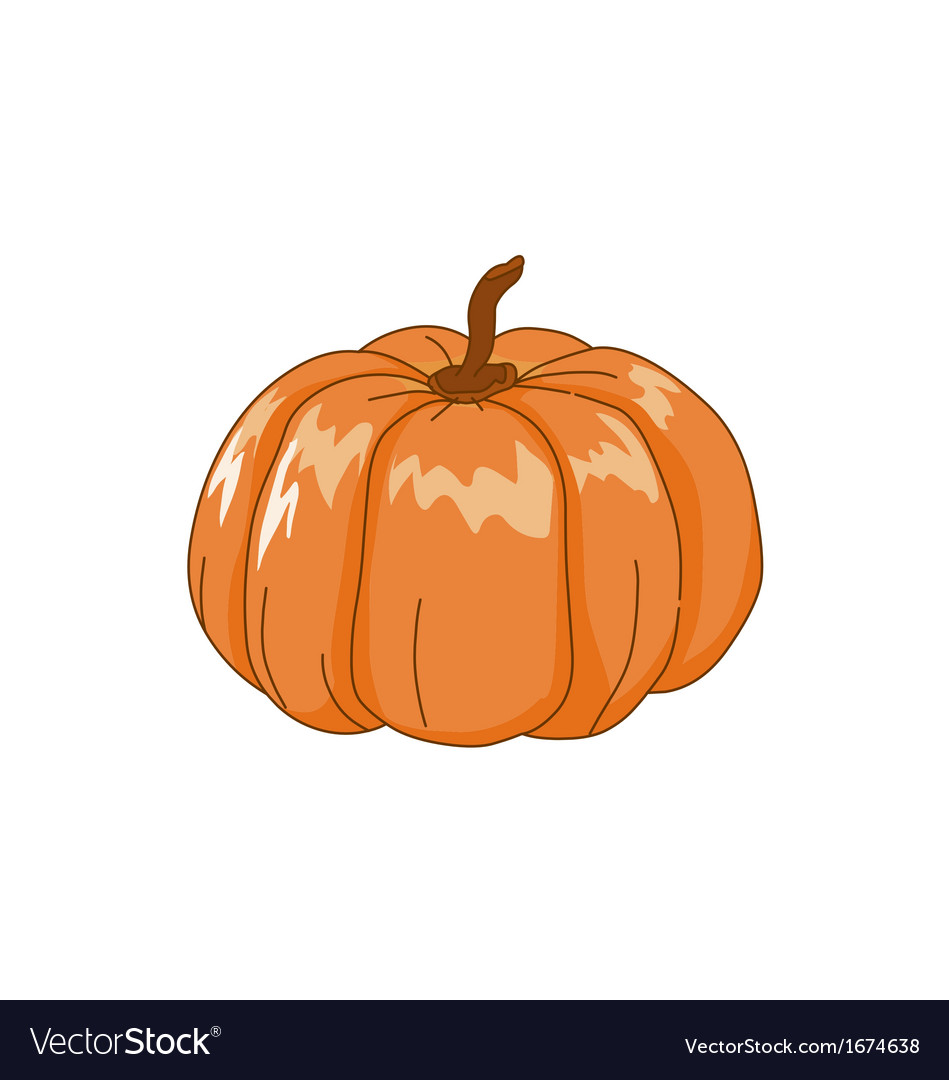 Pumpkin Royalty Free Vector Image - VectorStock