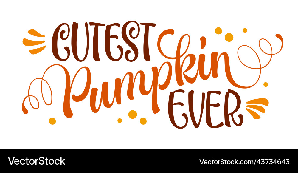 Cutest pumpkin ever - hand drawn modern lettering Vector Image