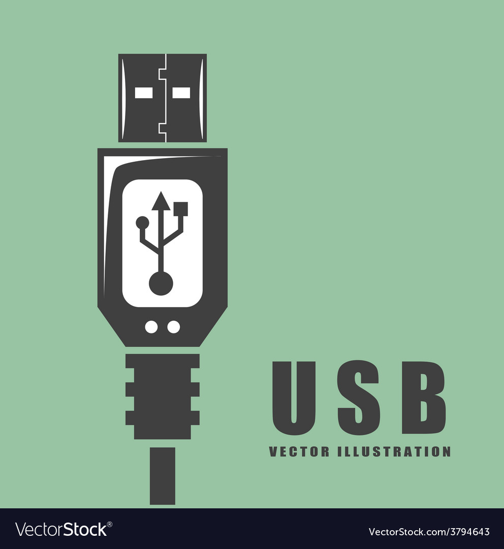 Usb connection Royalty Free Vector Image - VectorStock