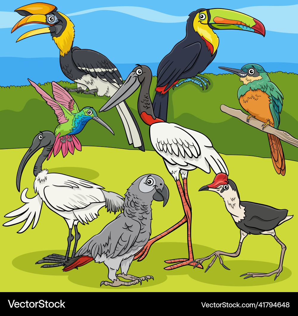 Birds animal characters group cartoon Royalty Free Vector