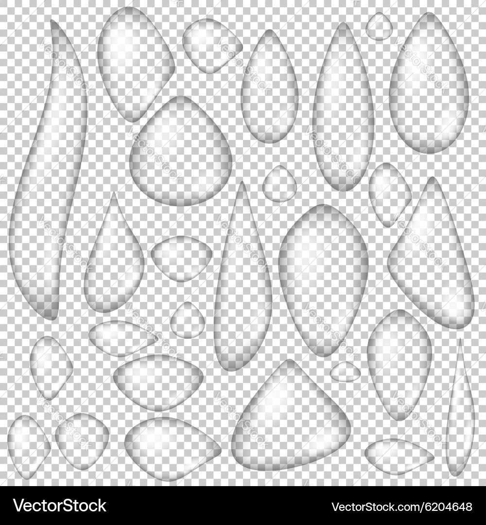 Set of transparent water drops Royalty Free Vector Image