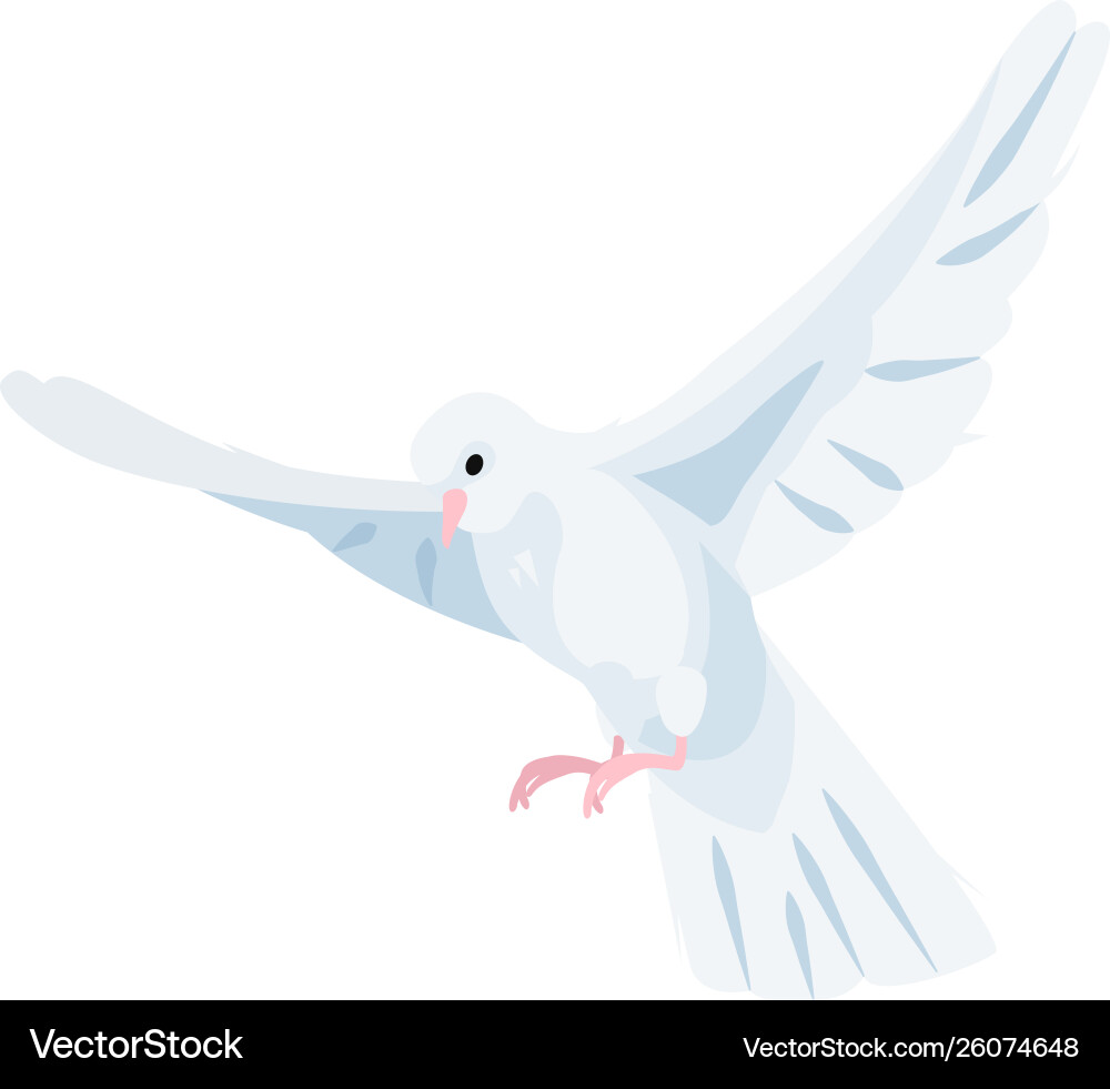 White dove icon beautiful religious symbol Vector Image
