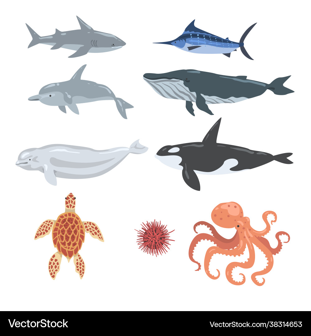 Underwater Sea Creatures